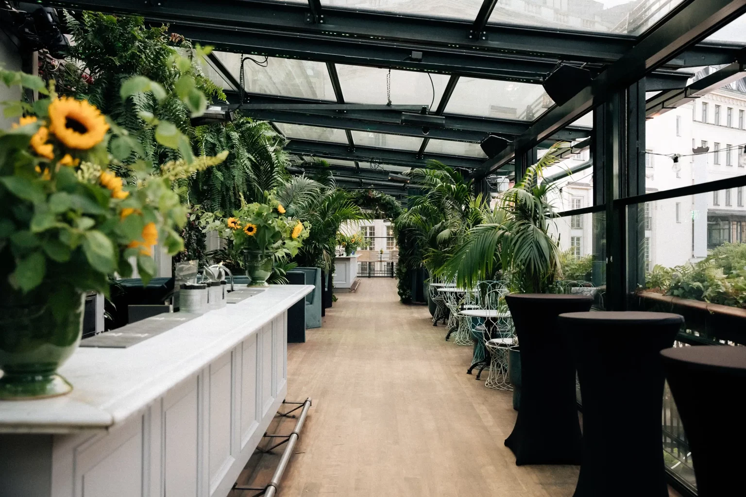 Summer Parties - Berns